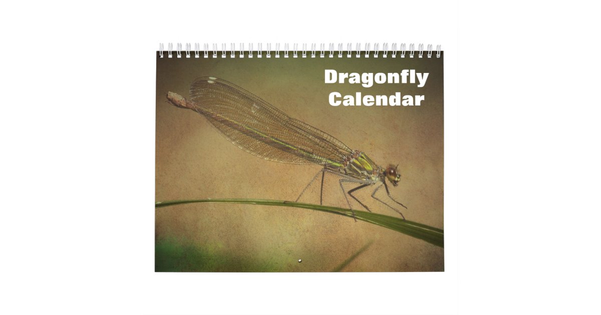 2024 Dragonfly Calendar | Zazzle.co.nz