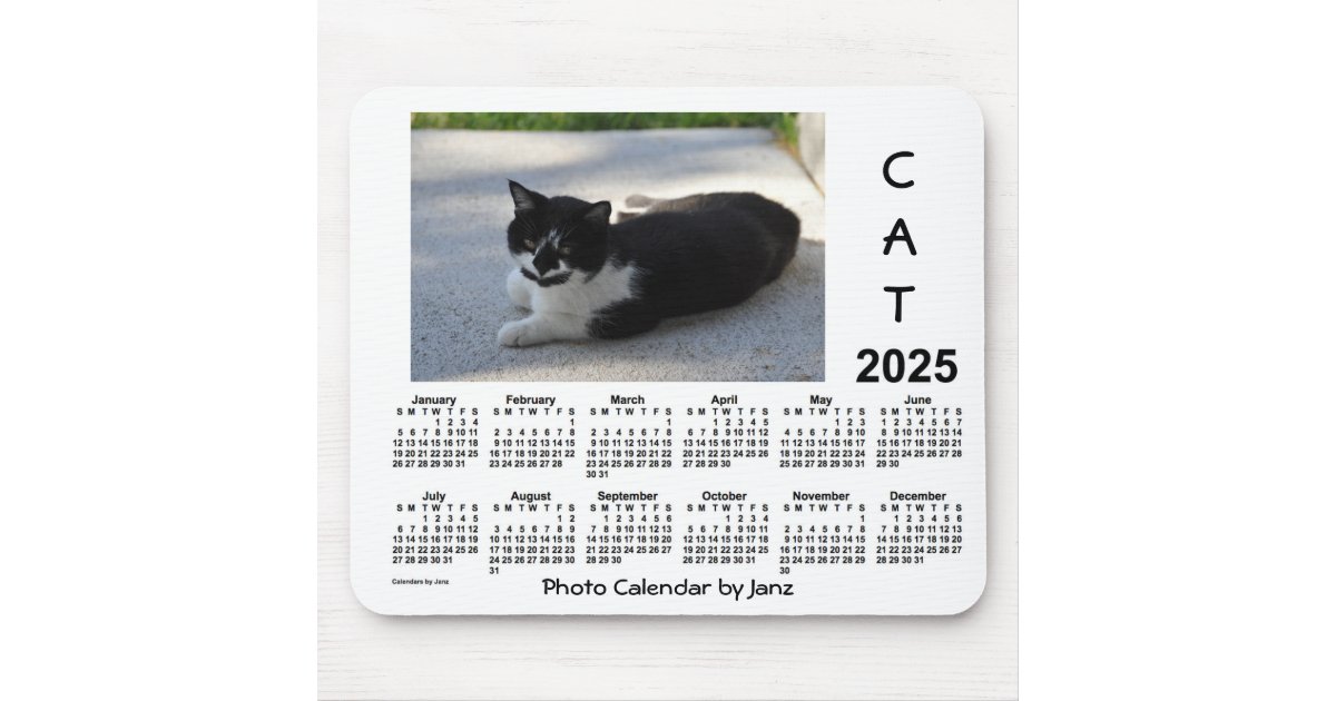 2025 Sassy Cat Photo Calendar by Janz Mouse Pad | Zazzle.co.nz