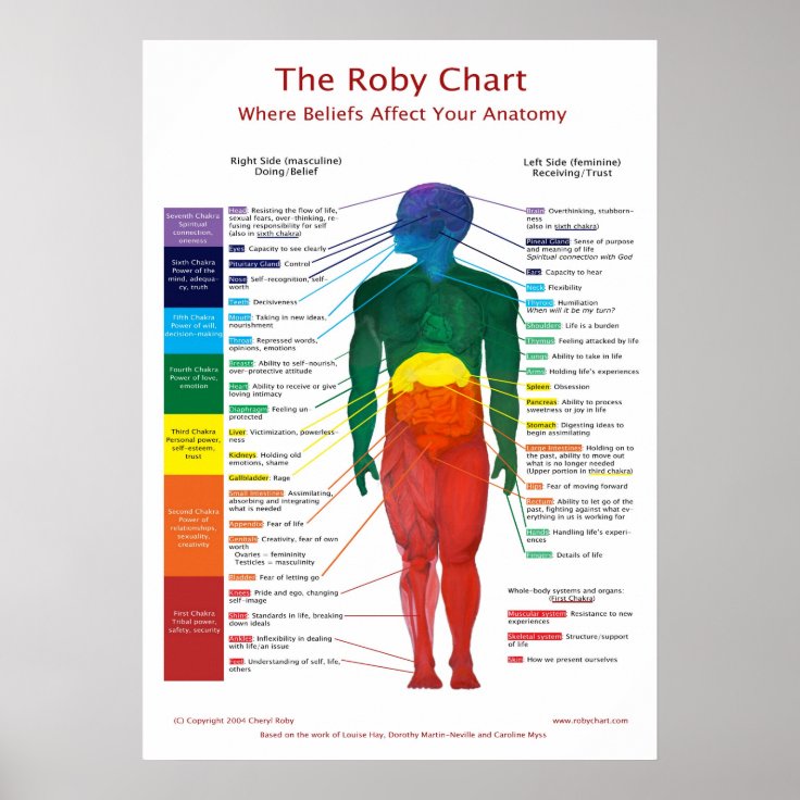 20x28 Chakra Chart: The Roby Chart | Zazzle.co.nz