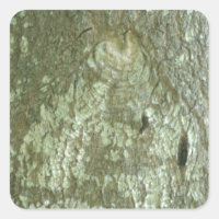 All Seeing Eye Stickers | Zazzle.co.nz