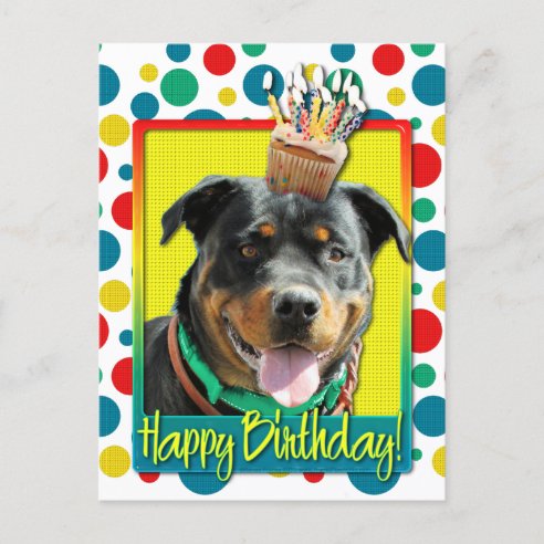 Rottweiler Birthday Cards | Zazzle.co.nz