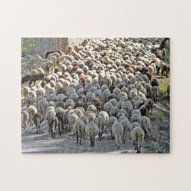 Sheep Jigsaw Puzzles | Zazzle.co.nz