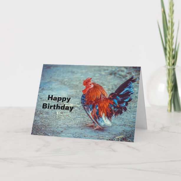 Rooster Happy Birthday Gifts on Zazzle NZ
