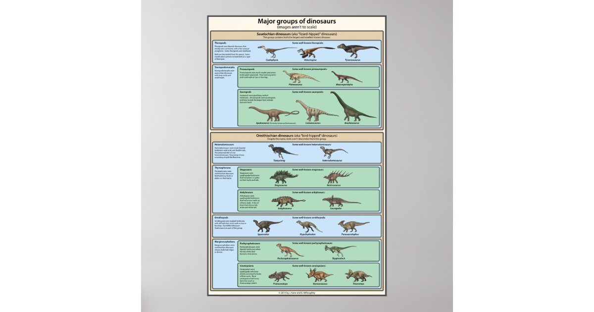 Dinosaur Classification Simplified Poster | Zazzle.co.nz