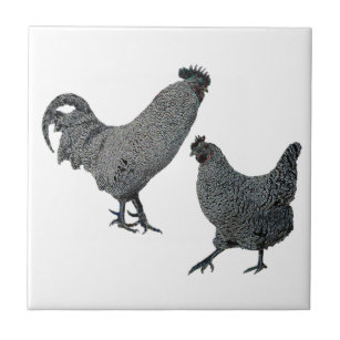 Chicken Decorative Ceramic Tiles | Zazzle.co.nz