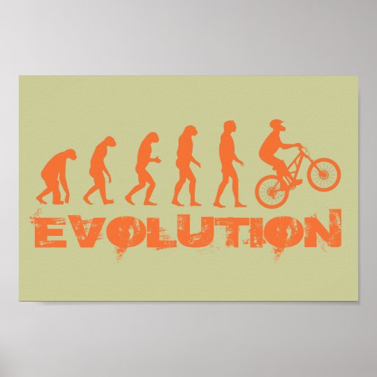 Evolution Poster | Zazzle.co.nz