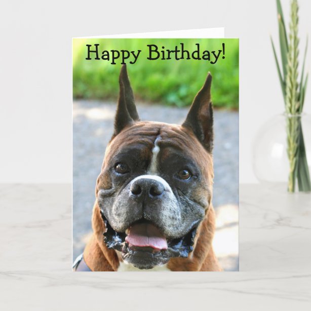 Boxer Birthday Cards | Zazzle.co.nz
