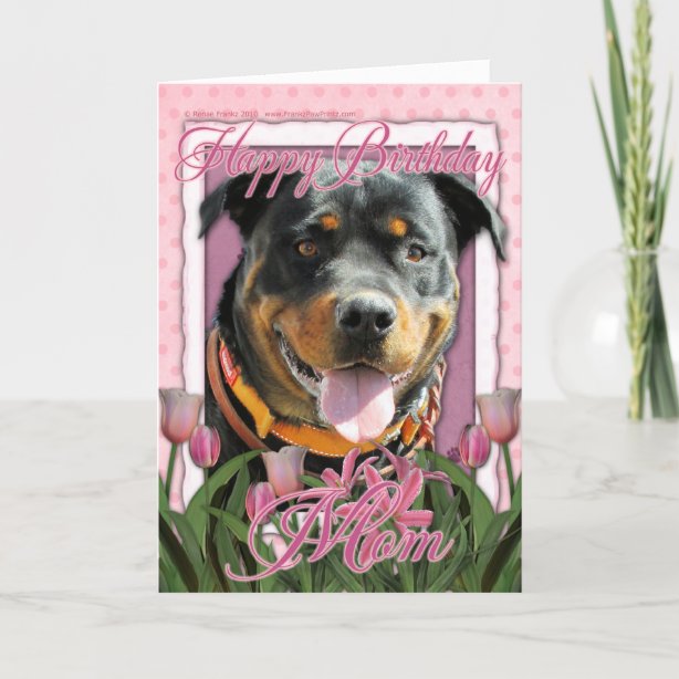 Rottweiler Birthday Cards | Zazzle.co.nz
