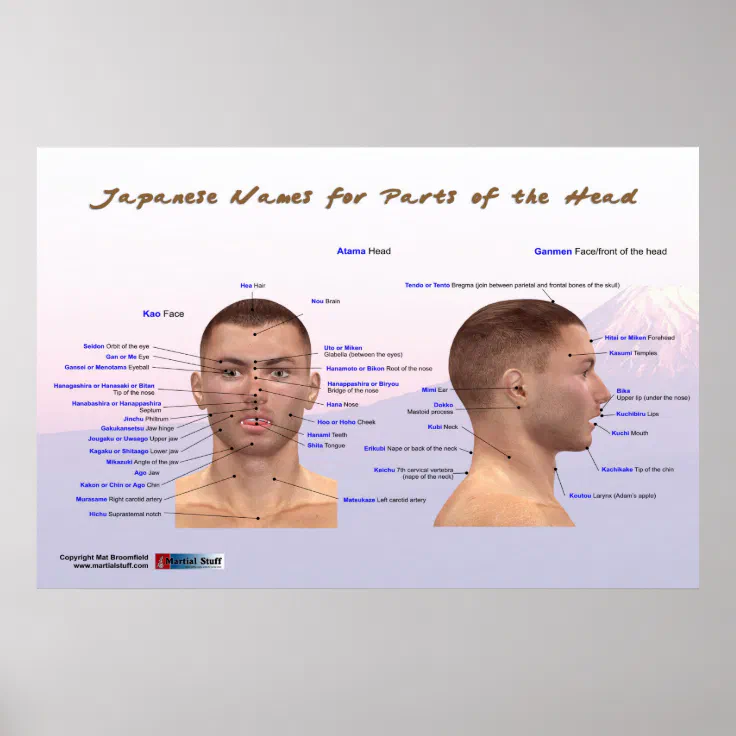 Japanese Names for Parts of the Head Poster | Zazzle.co.nz