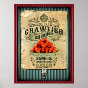 Cajun Crawfish Posters & Photo Prints | Zazzle NZ