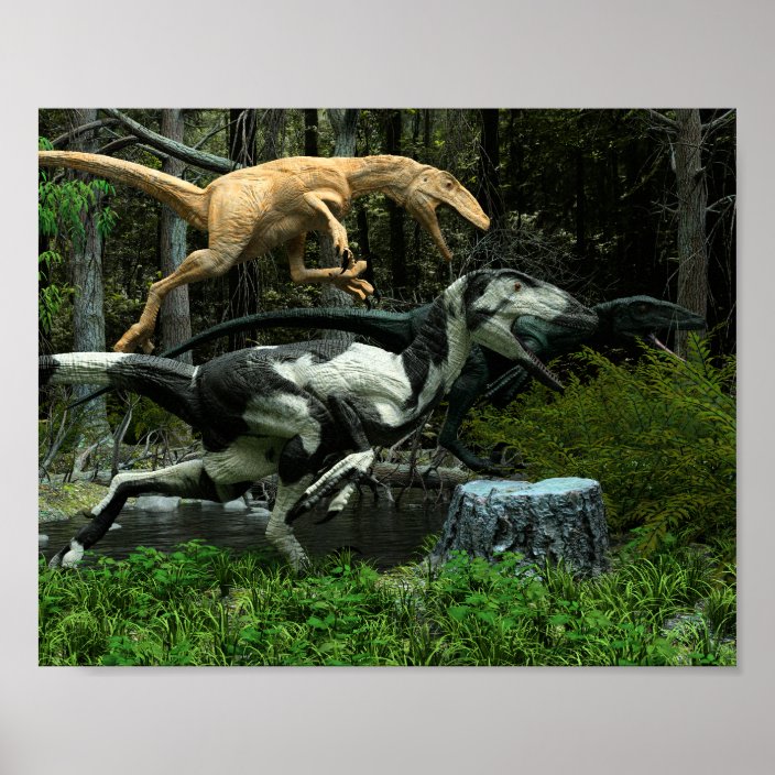 Pack of Raptors Poster | Zazzle.co.nz