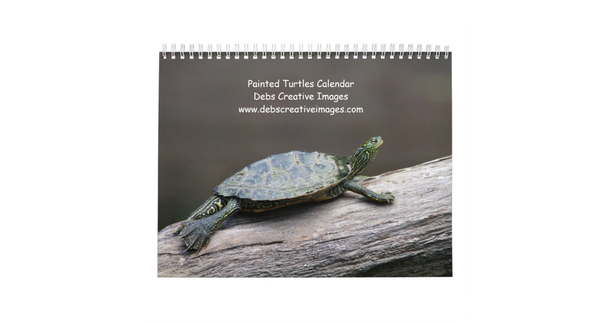 Painted Turtles 2025 Calendar | Zazzle.co.nz