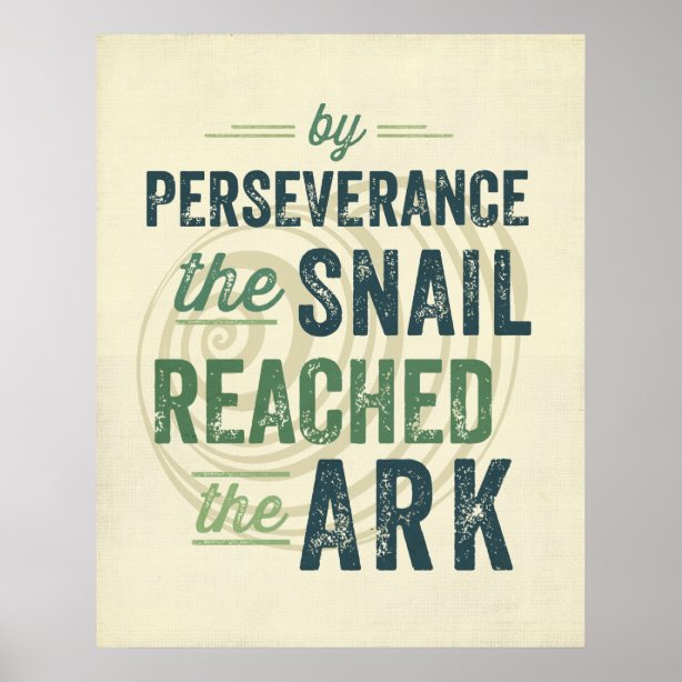 Perseverance Motivational Posters & Photo Prints | Zazzle NZ