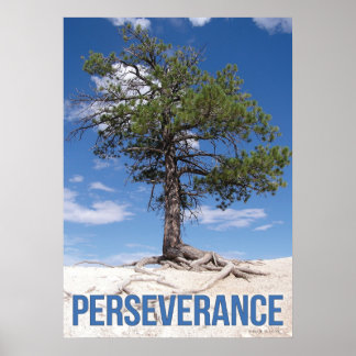 Perseverance Motivational Posters | Zazzle.co.nz