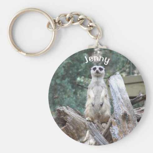 Meerkat Gifts on Zazzle NZ