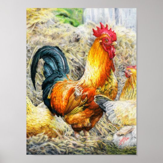 Proud Rooster Poster | Zazzle.co.nz