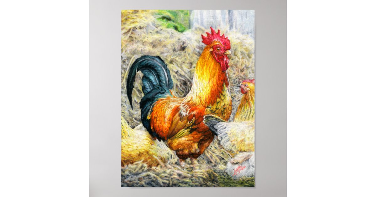 Proud Rooster Poster | Zazzle.co.nz