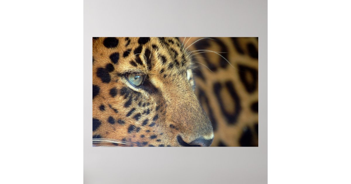 Saying Goodbye... Poster | Zazzle.co.nz