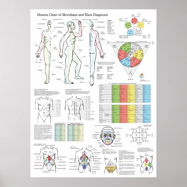 Shiatsu Acupuncture Meridians Hara Diagnosis Chart | Zazzle.co.nz