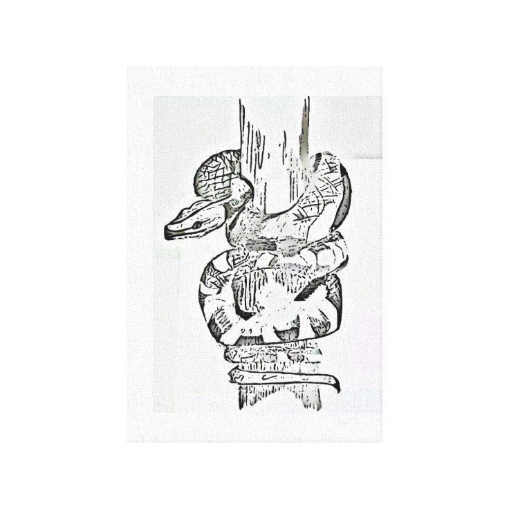 Snake Wrapped around Tree Canvas Print | Zazzle.co.nz