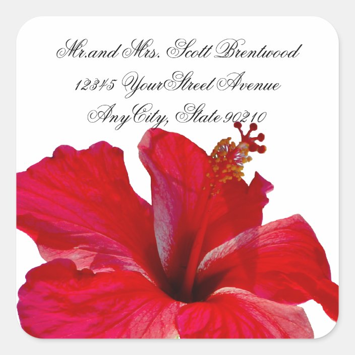 Tropical Red Hibiscus address labels | Zazzle.co.nz