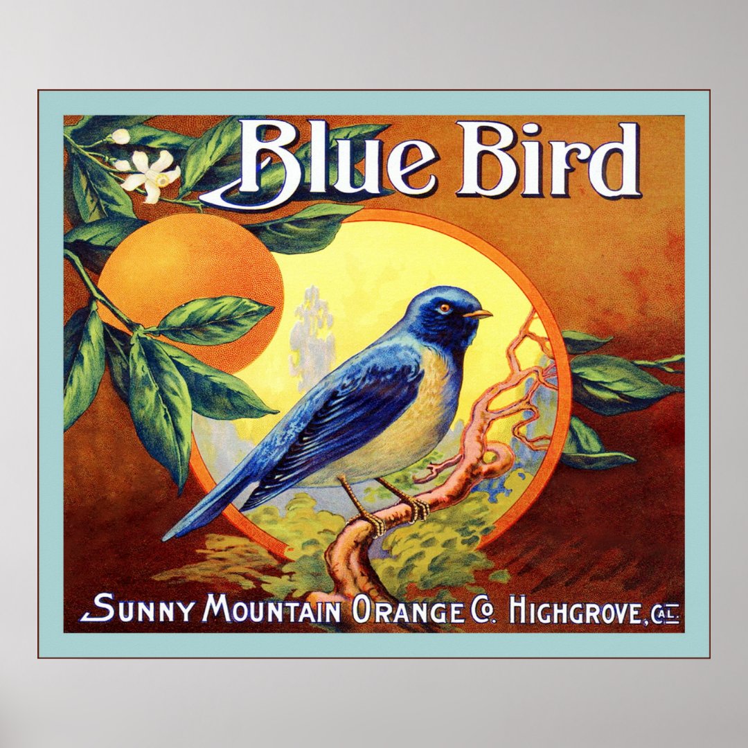 Vintage Fruit Crate Label Poster | Zazzle.co.nz