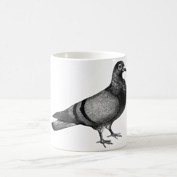 Racing Pigeon Gifts on Zazzle NZ